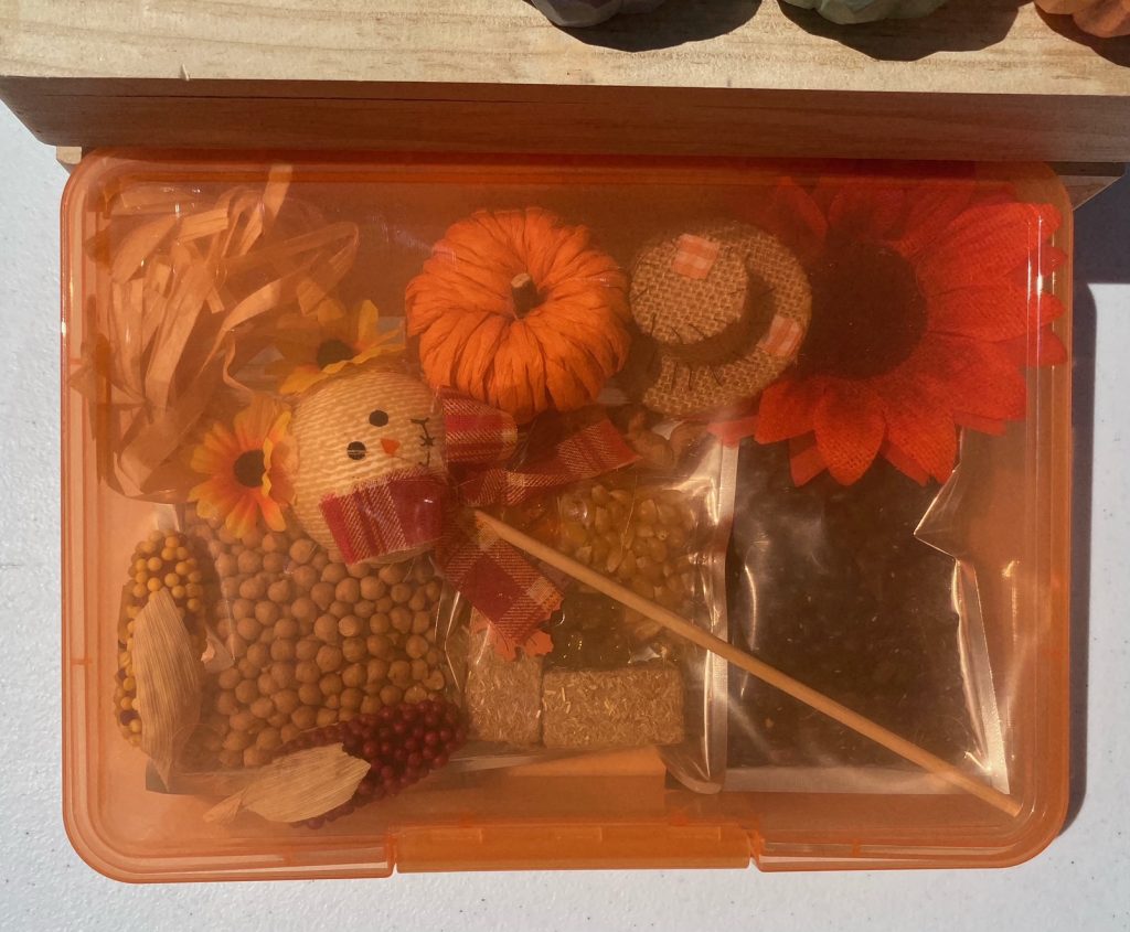 Fall Themed Sensory Box – Mama Shenanigans