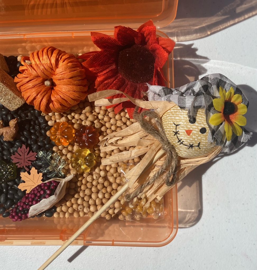 Fall Themed Sensory Box – Mama Shenanigans