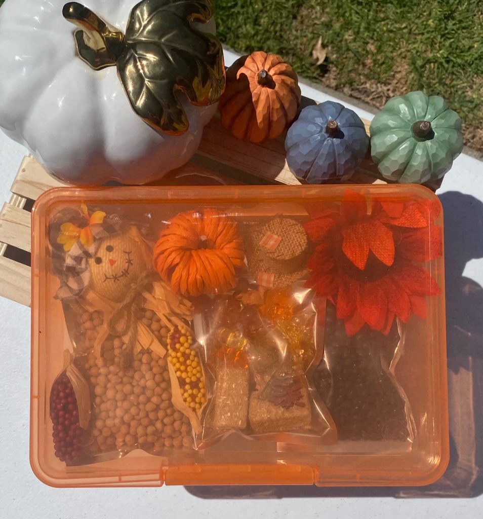 Fall Themed Sensory Box – Mama Shenanigans